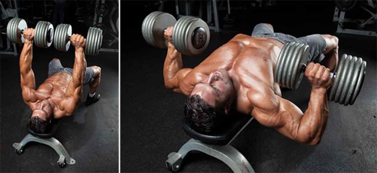 Chest Workouts at Home For Making Powerful Muscle