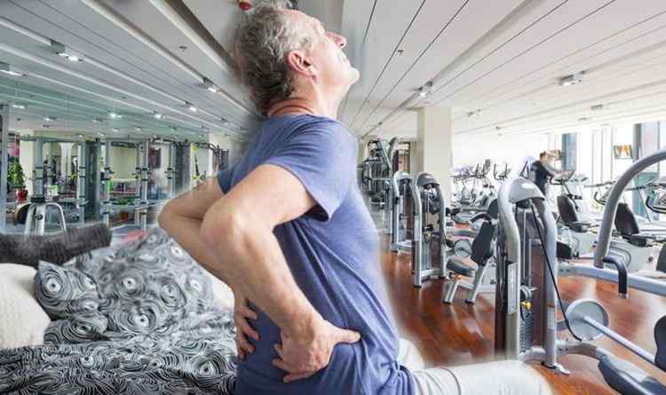Which Exercise Machines are Suitable for Lower Back Pain?