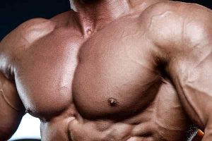 7 Amazing Chest Workout For Building Awesome Pecs